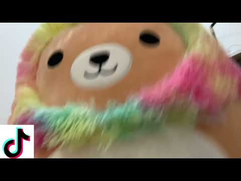 Chubbys first tiktok vid