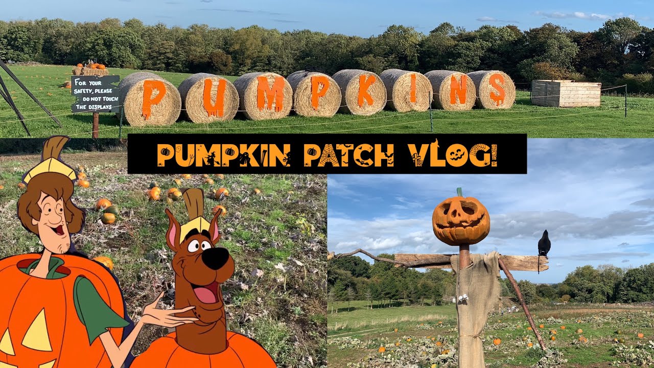 Spooky Pumpkin Patch Vlog! (Pumpkin Picking 2022) - YouTube