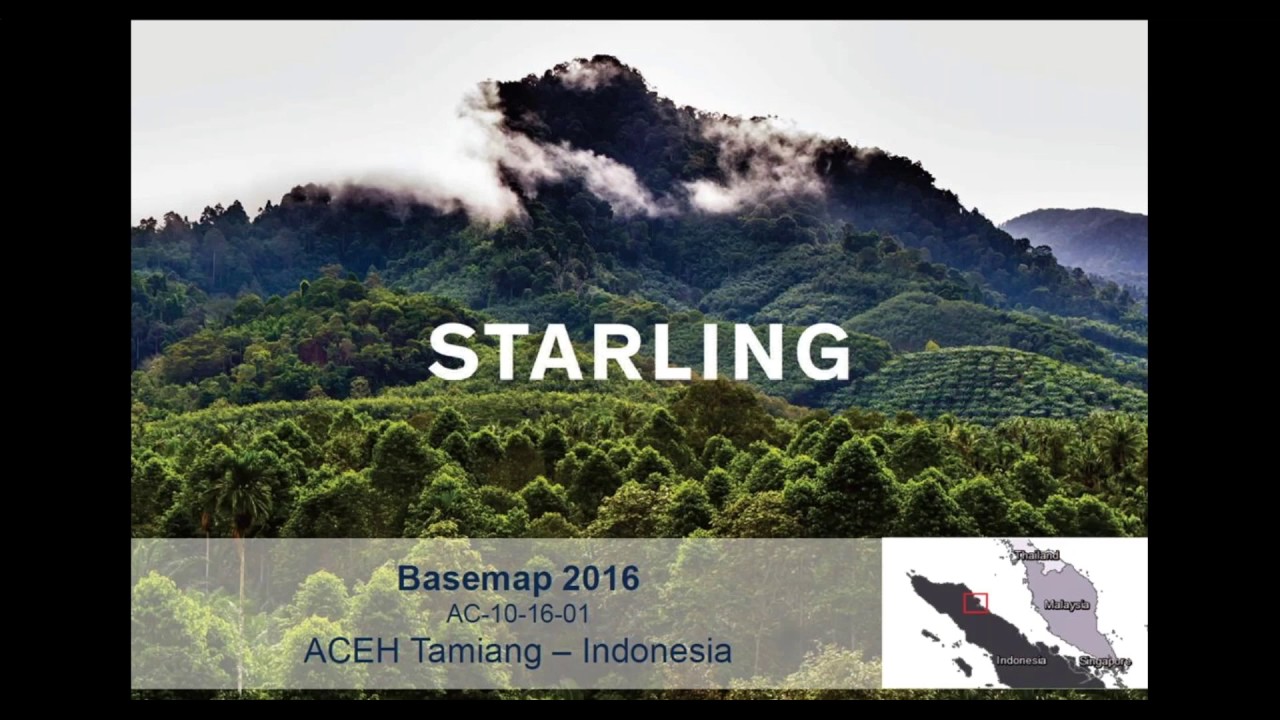 Starling Launch Webinar | Discover everything about Starling - YouTube