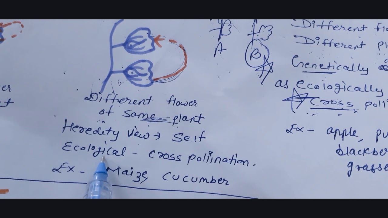 BIOLOGY//CLASS-12// POLLINATION - YouTube