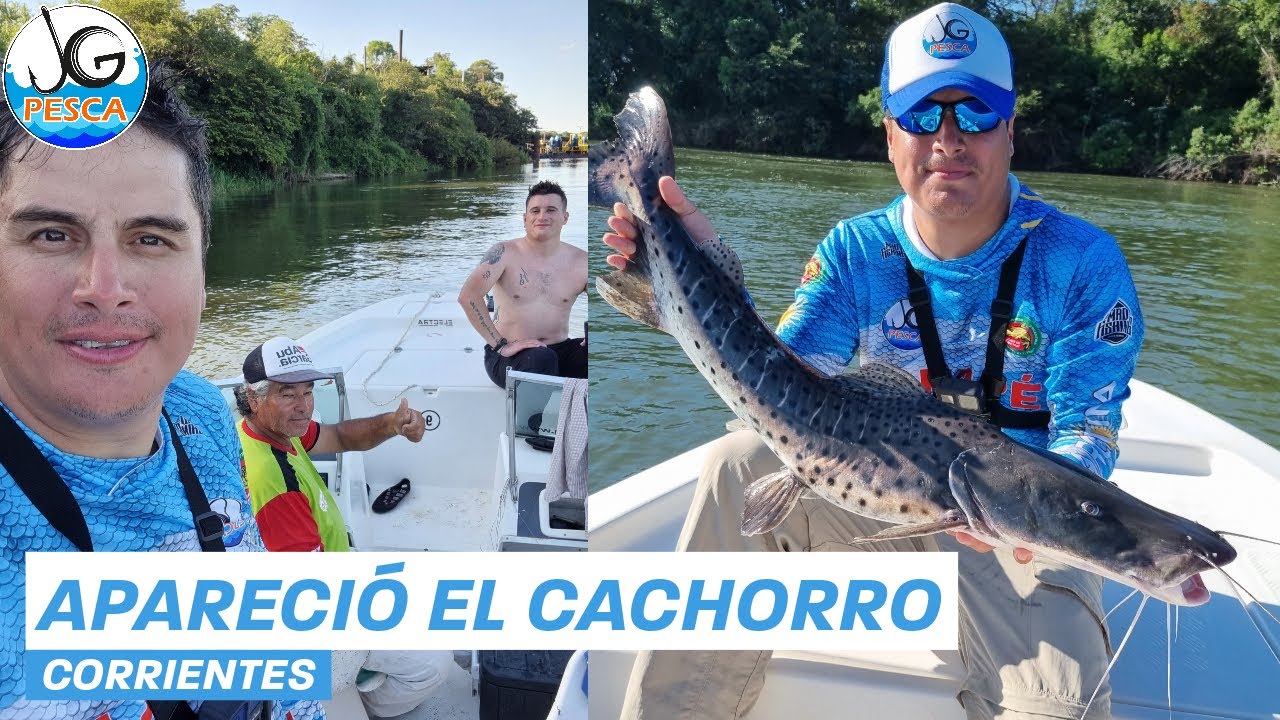 Pesca en Yahape (Parte 2) APARECIO EL CACHORRO | dorado surubi armado ...