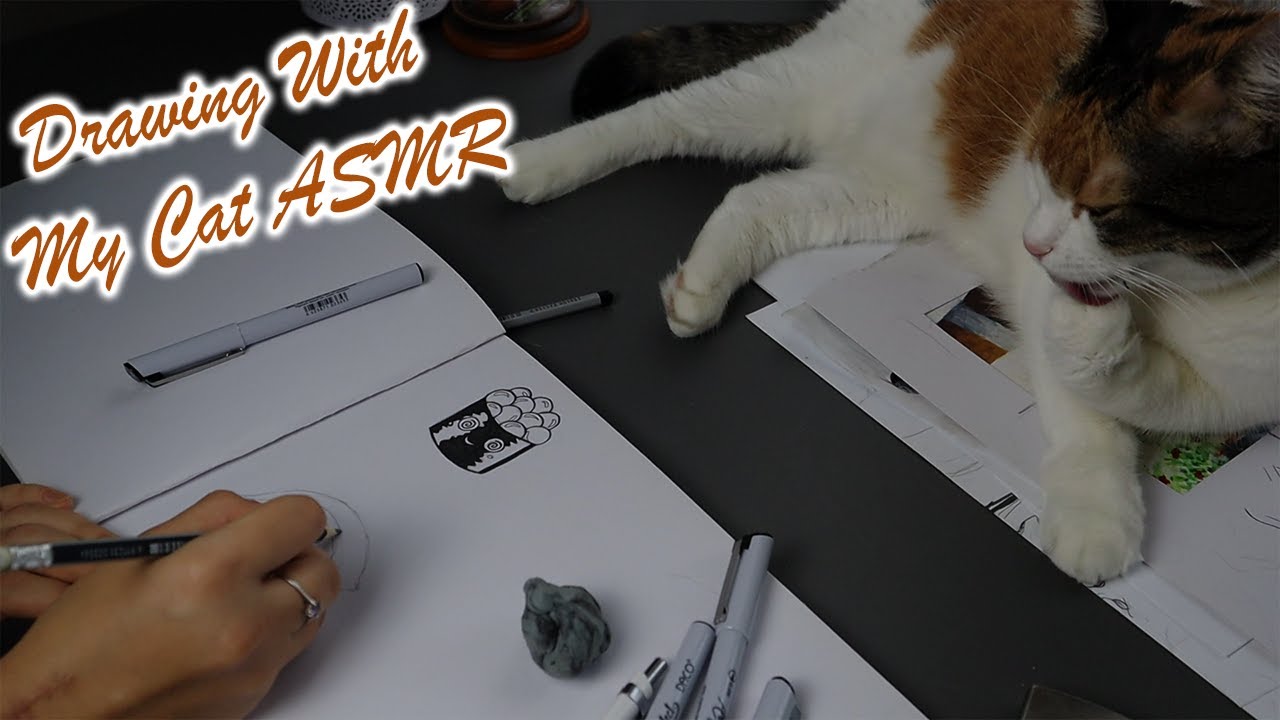 ASMR Drawing with my Cat *no talking* - YouTube