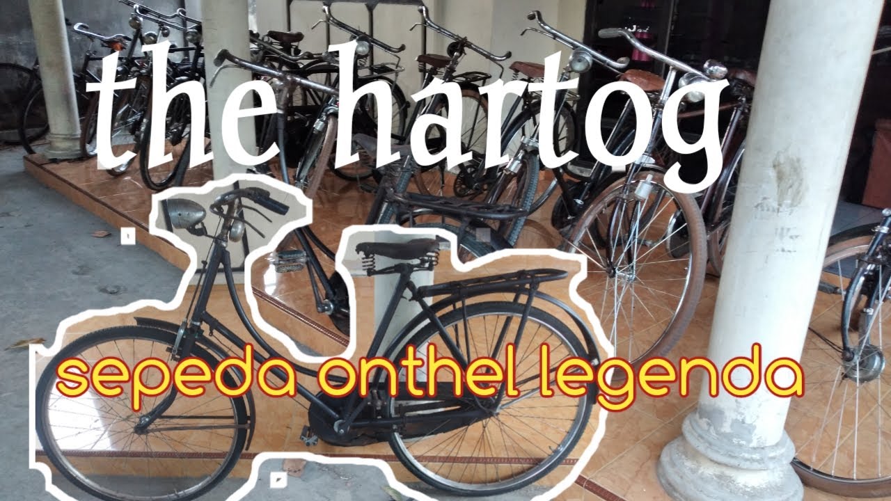 sepeda hartog dames 900ribu sepeda onthel hartog belanda - YouTube