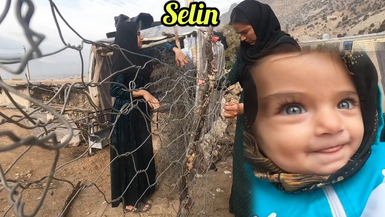 Parvaneh and Celine's documentary today, building a fence and cooking ...