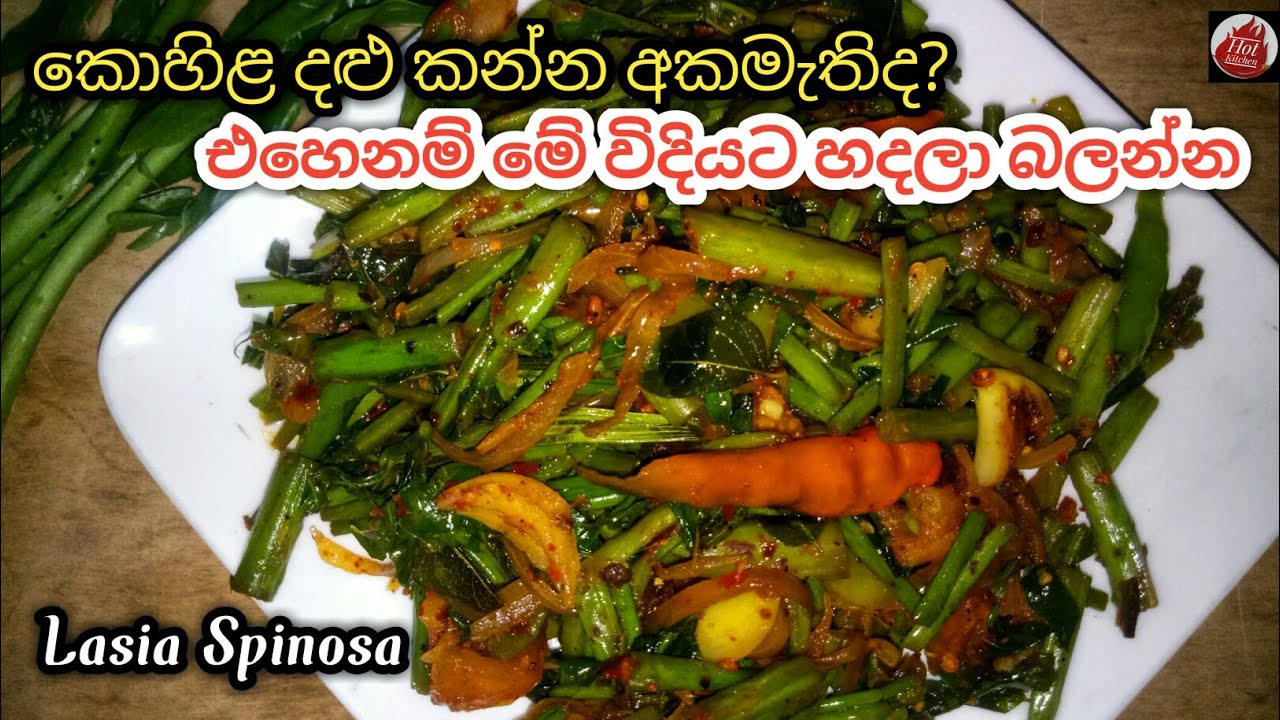 බඩ පිරෙන්න බත් කන්න කොහිළ දළු මෙහෙම හදන්න| kohila dalu recipe| Lasia ...