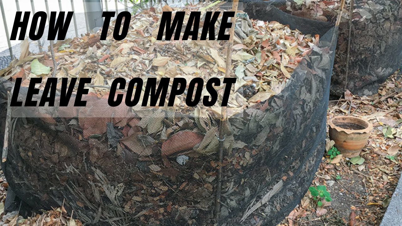 Making Leave Compost . Full detailed Video On Leave Compost - YouTube