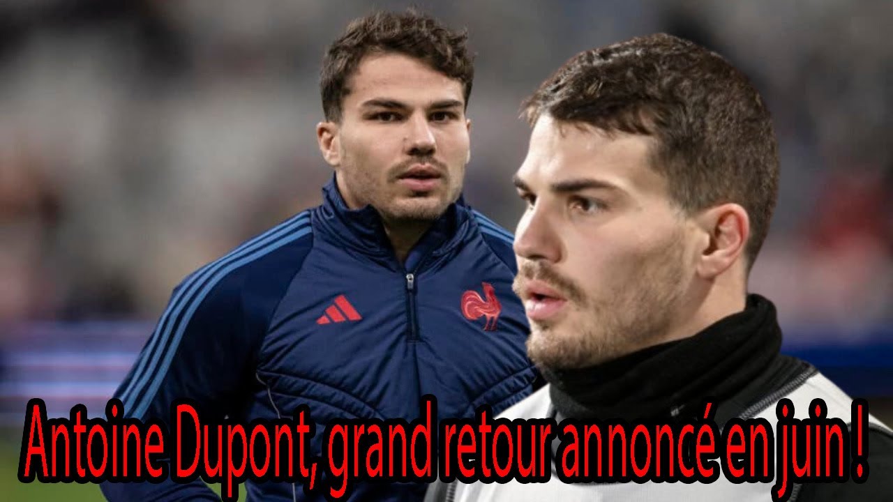 Dupont revient plus FORT que jamais - YouTube