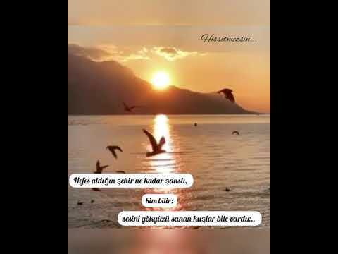 İnstagram kısa videolar