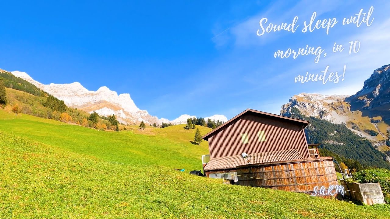 Relaxing music. Deep sleep music . Video 4k HD camping #287 - YouTube