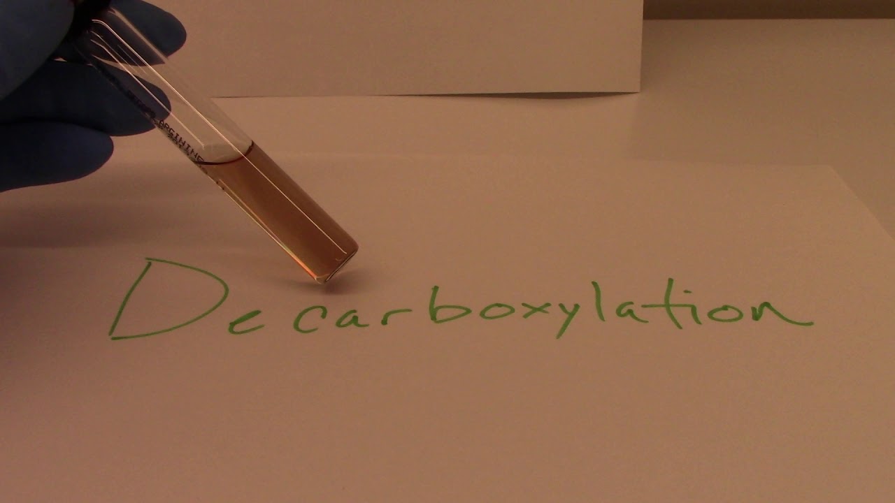 Decarboxylation Test - Biochemical Test for Metabolic Capability - YouTube