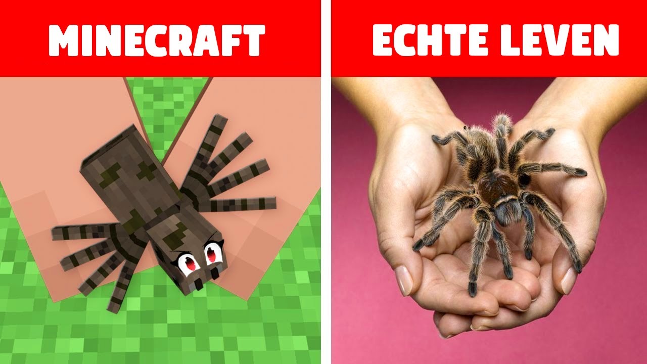 Steve Minecraft Echt Leven