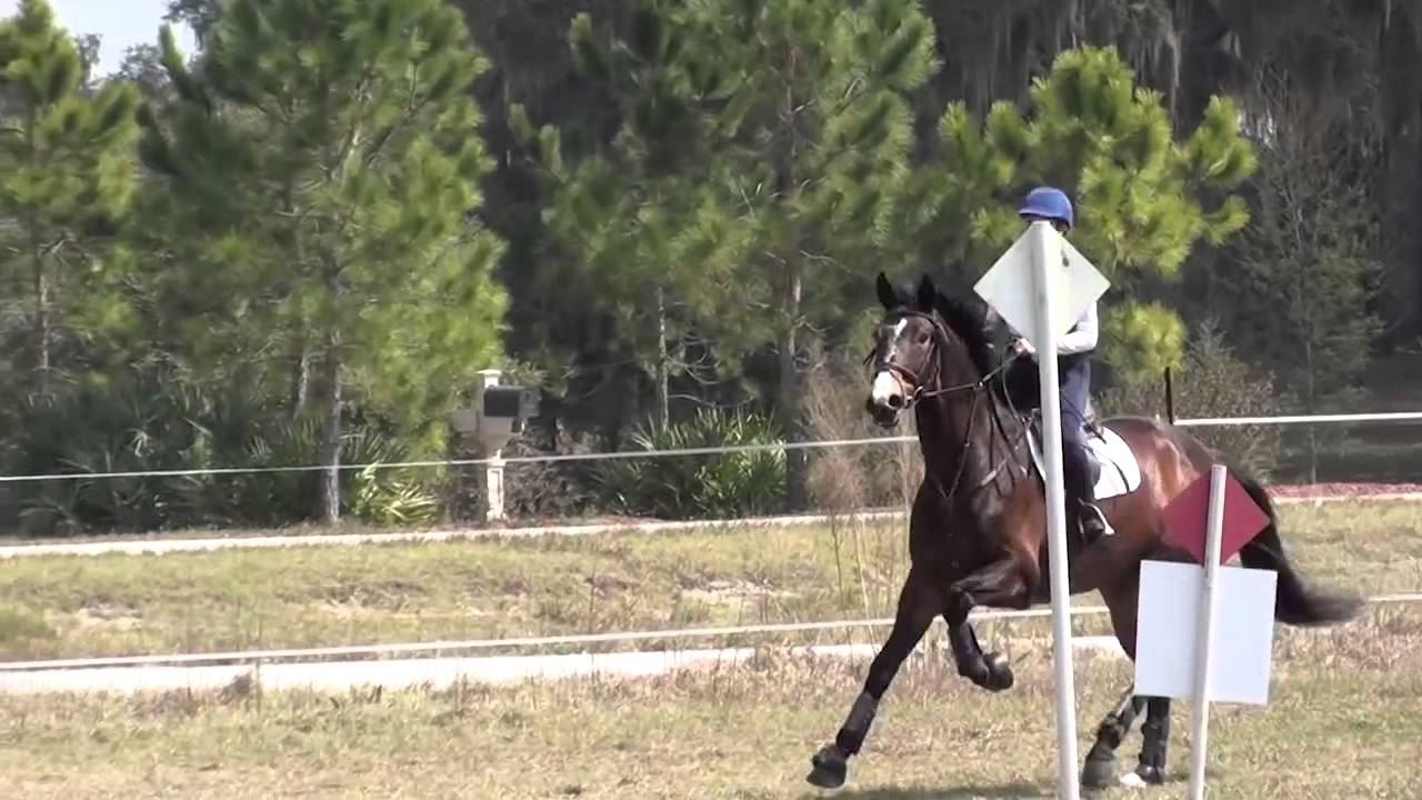 Stacey Sutton & Quick Fire VZ at Rocking Horse Winter 3 Horse Trials ...
