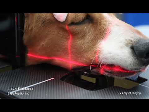 Nuon Dynatech MyVet Pan i2D Demo - YouTube