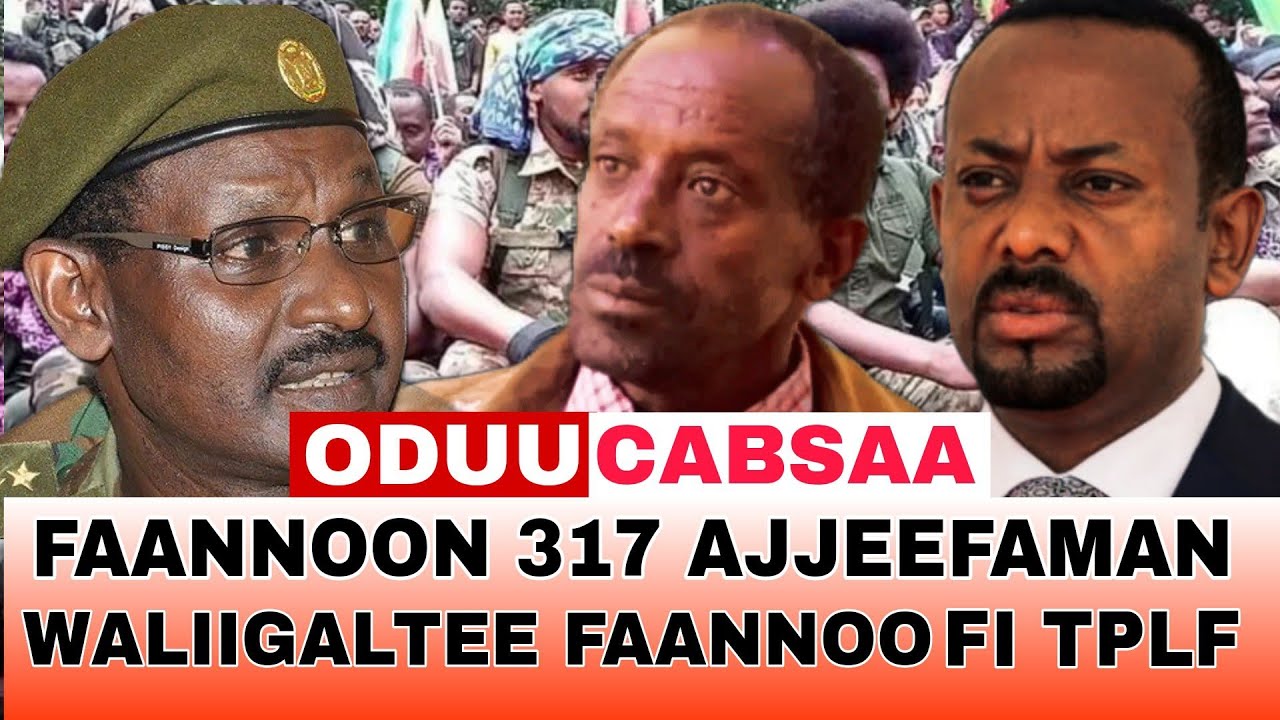 Raayyaan ittisa biyyaa Faannoo irratti tarkaanfii fudhate / Waliigaltee ...