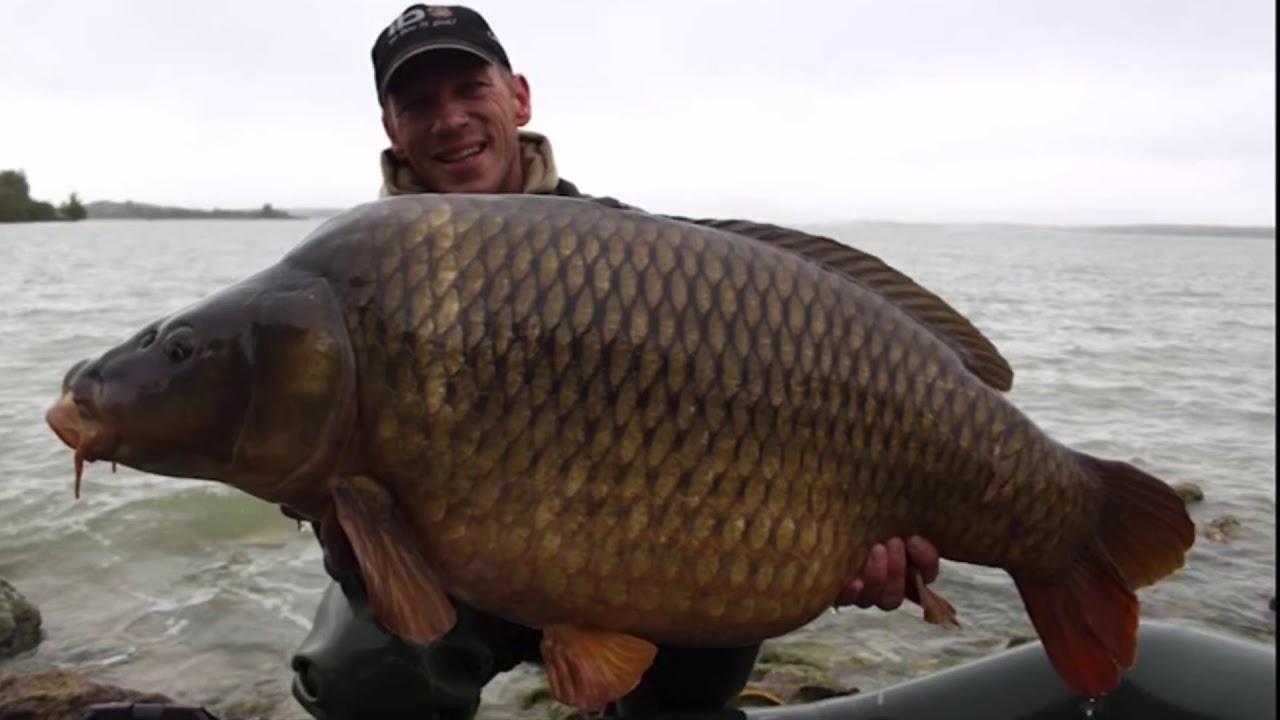 Carp fishing, Karpfenangeln - my passion ️ - YouTube