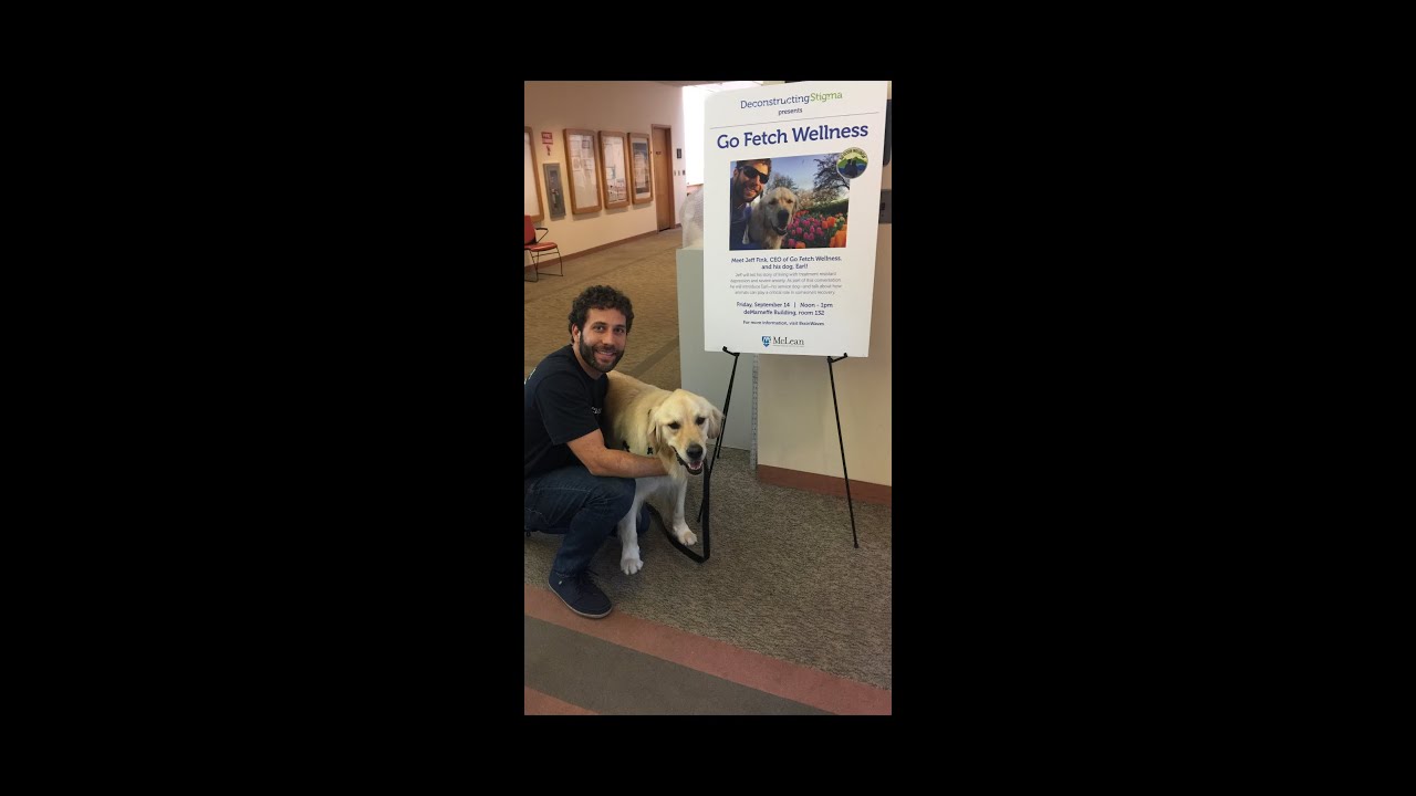Go Fetch Wellness & McLean Hospital- - YouTube