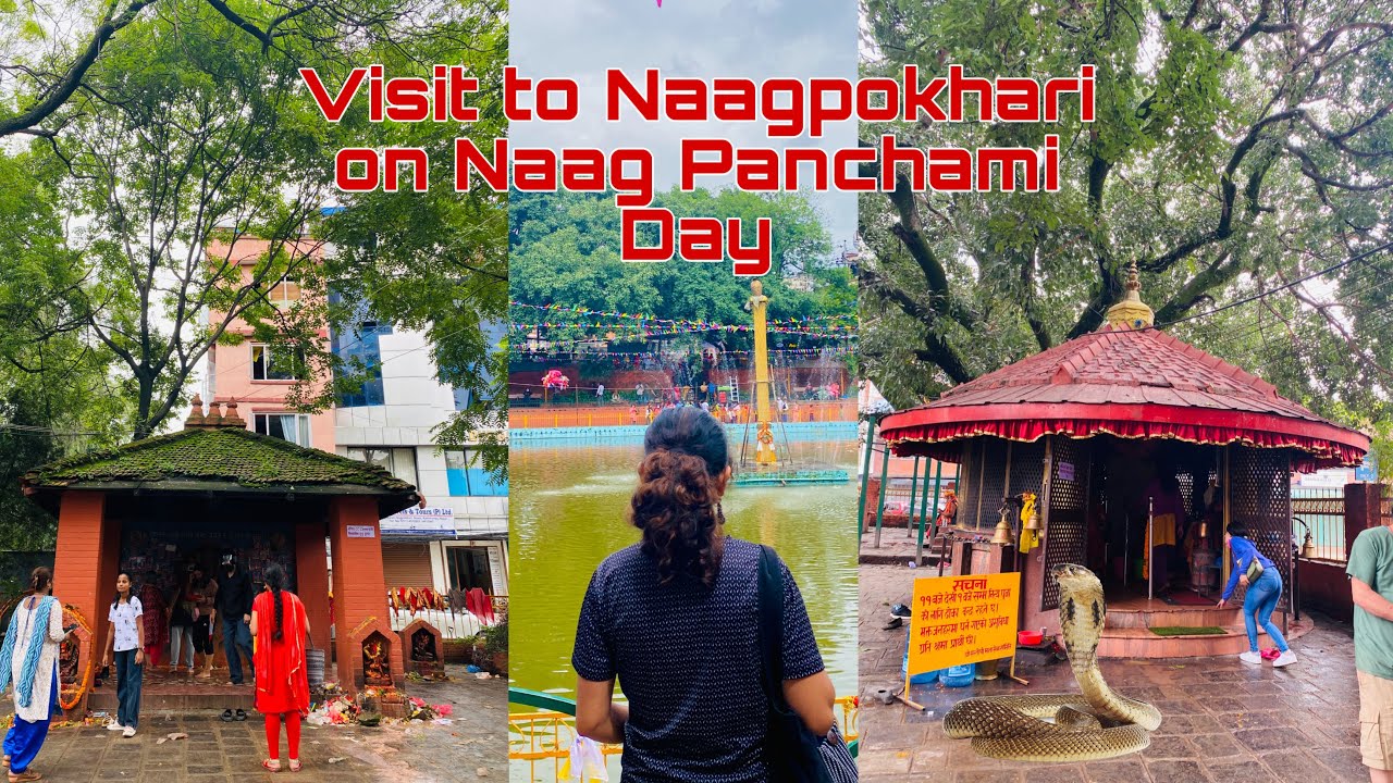 Witnessing Naag Panchami Celebration at Naag Pokhari Kathmandu 🐍 🐍 ...