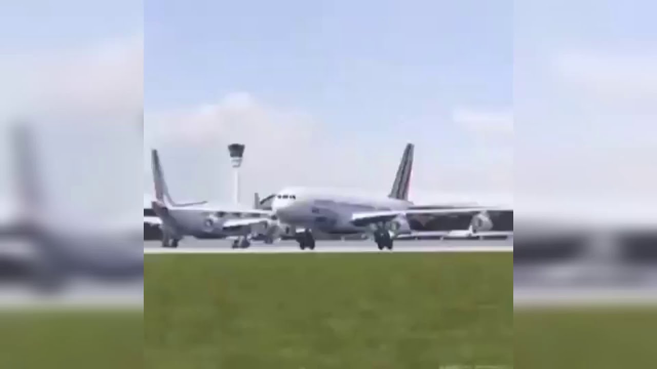 Plane Dancing with bird || funny dance || viral video - YouTube