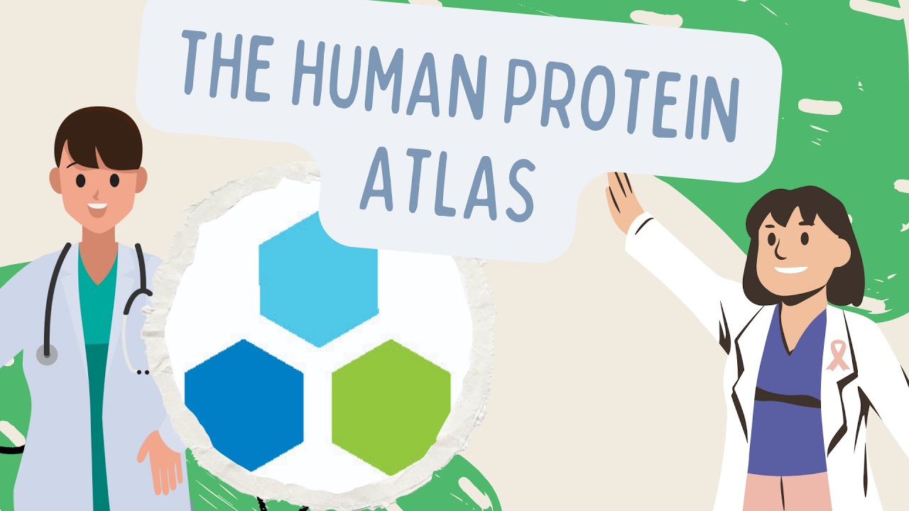 THE HUMAN PROTEIN ATLAS-Video tutorial - YouTube