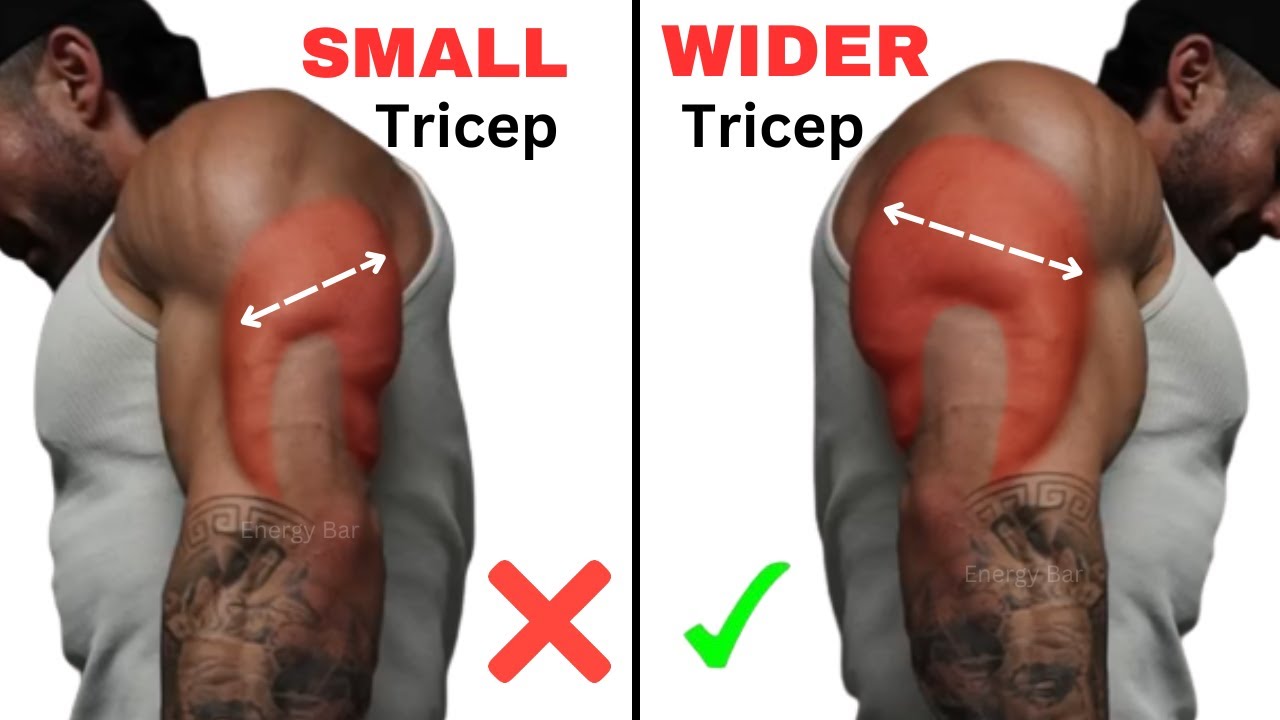 6 BEST TRICEP EXERCISES FOR FASTEST TRICEP GROWTH - YouTube