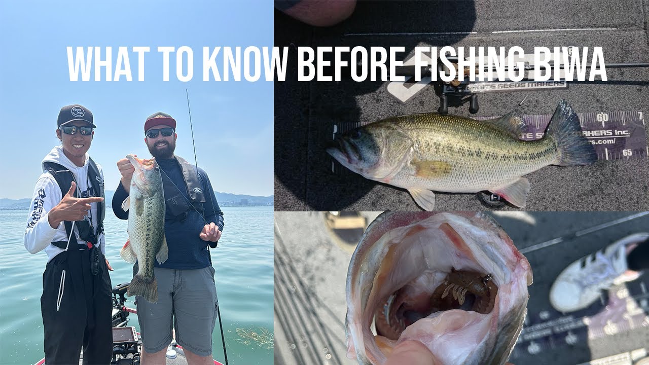 So you want to fish LAKE BIWA... #lakebiwa #biwako #japanbassfishing ...