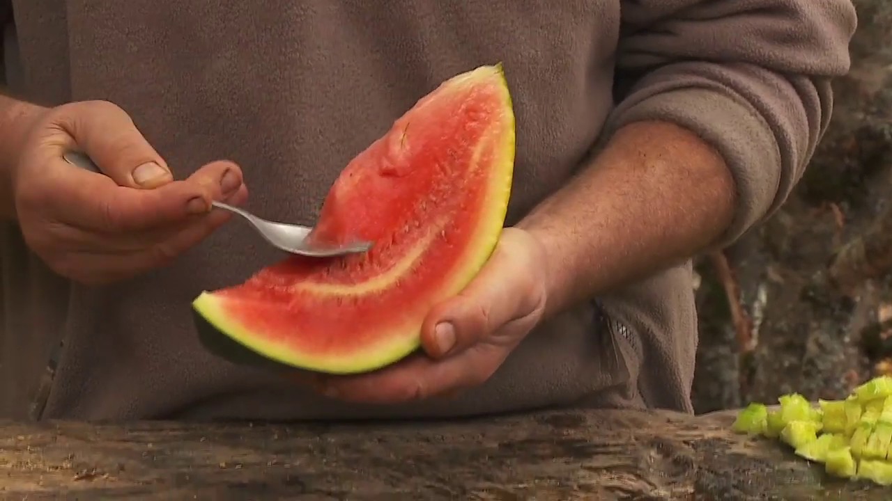 Vidéo présentation couvert Georgette Aventure - YouTube