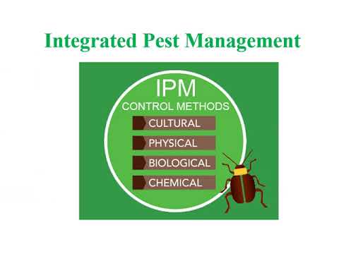 Integrated pest management - YouTube