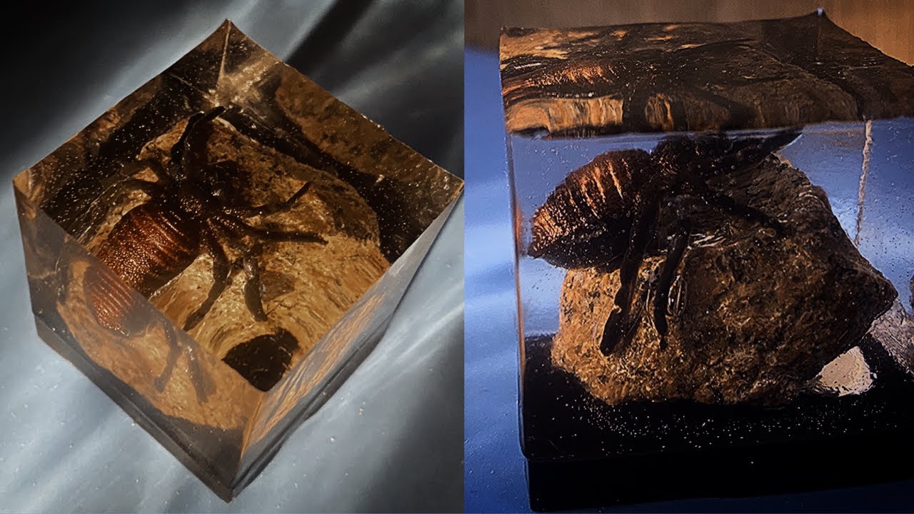 Cast a Resin Spider in Epoxy Resin - YouTube