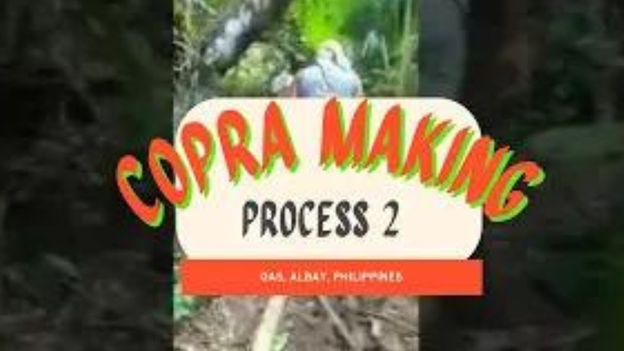 COPRA MAKING PROCESS RAW VIDEO 2 - YouTube