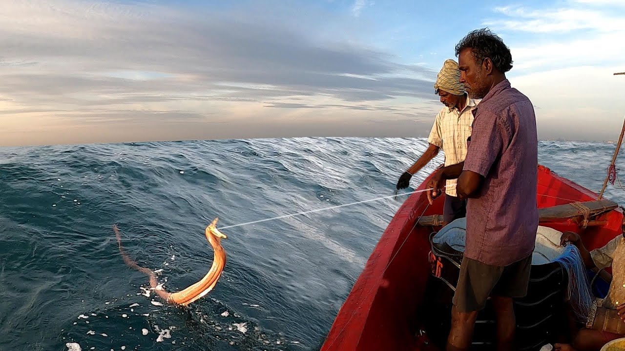 LADY FISH CATCHING IN THE SEA - YouTube