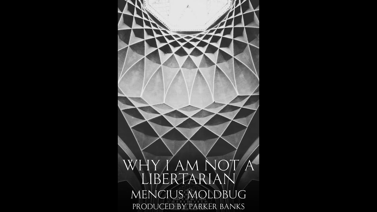 Why I Am Not a Libertarian - Mencius Moldbug (Audiobook) - YouTube