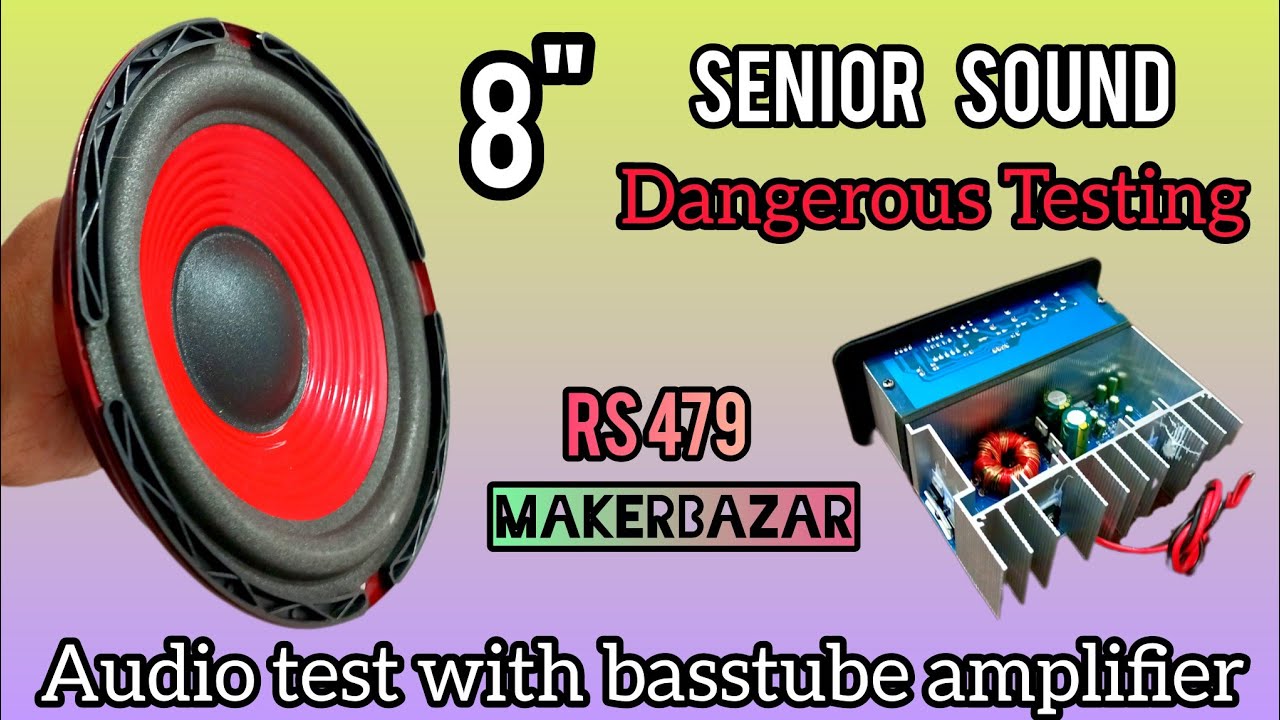 Senior Sound 8" Subwoofer testing | Makerbazar Subwoofer - YouTube