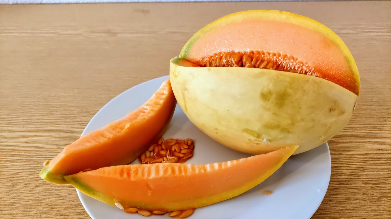 Jimbee - another fancy Melon (Cucumis melo) - YouTube