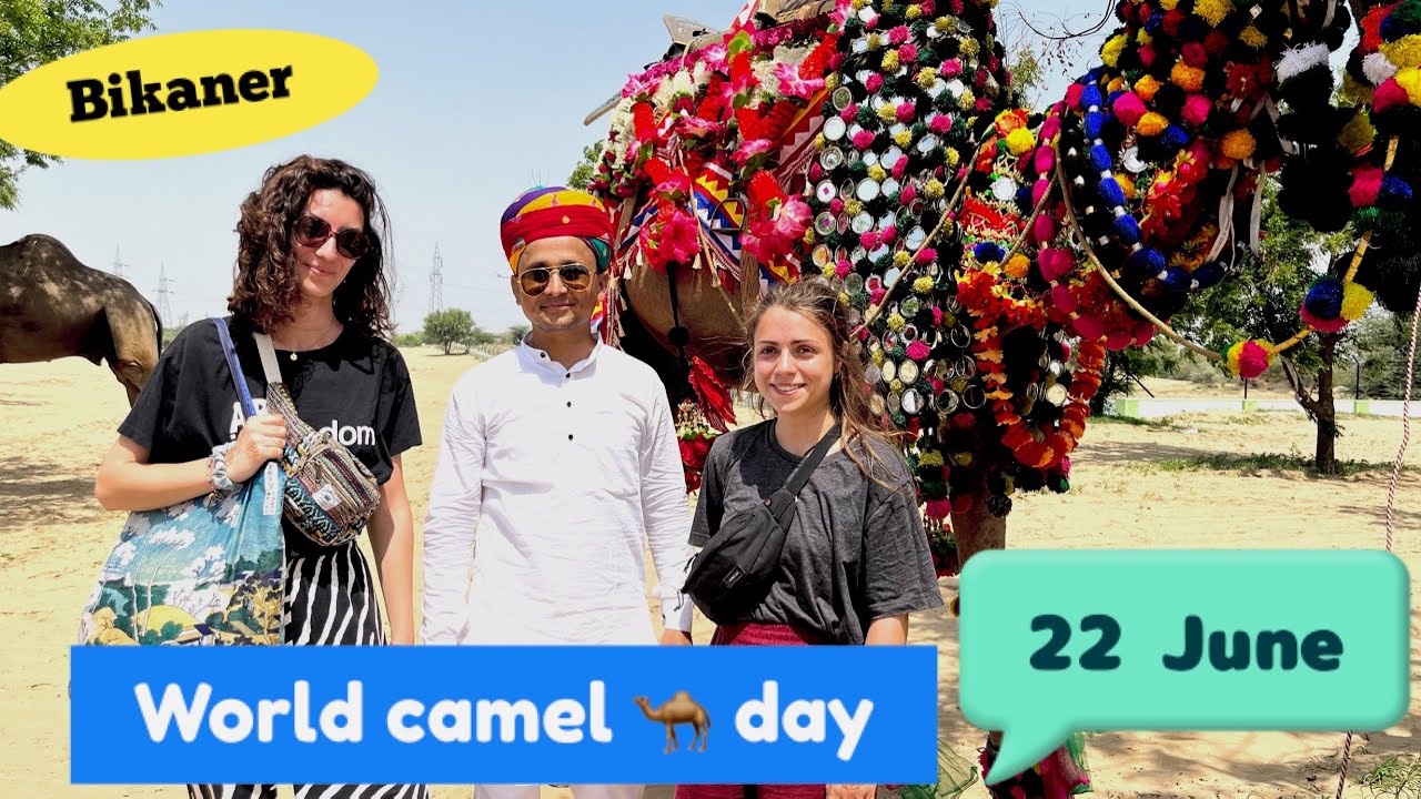 विश्व ऊंट दिवस बीकानेर | 22 June 2023 | World Camel Day |Camel Festival ...