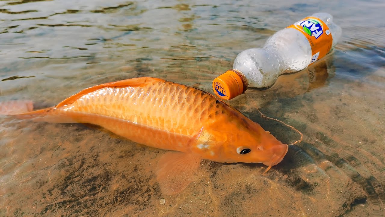 Plastic Bottles Fish Trap | Traditional Catch Fish With Hook & Plastic ...