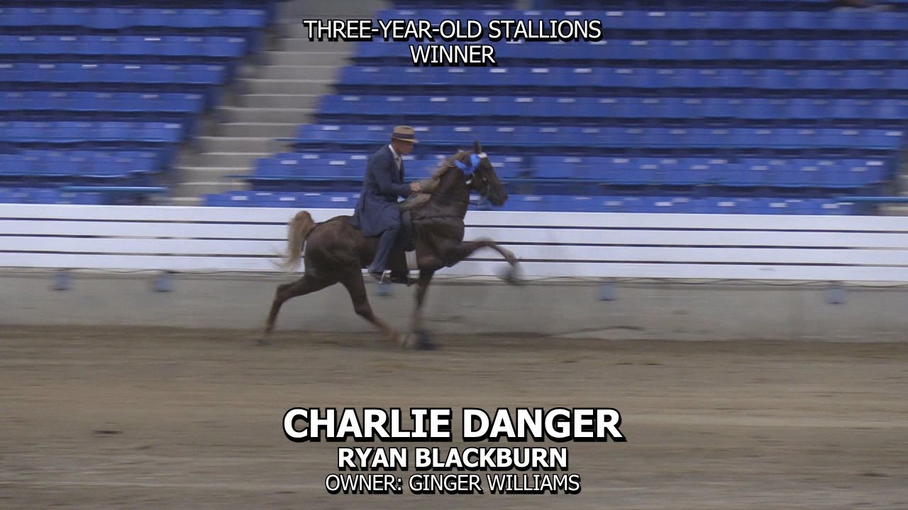 CHARLIE DANGER - 2020 TWHBEA SUMMER SIZZLER - YouTube