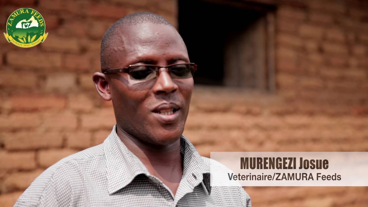 Zamura Feeds Introductiion - YouTube