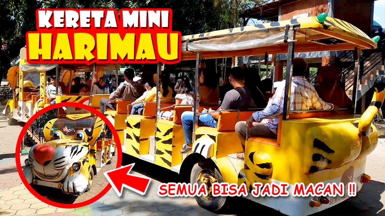 Naik Kereta Mini Harimau Seru Banget || Mobil Odong Odong - YouTube