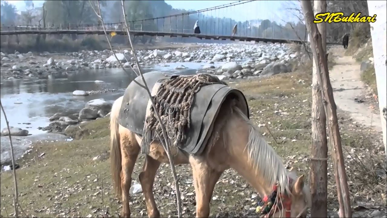 River Siren in winter - YouTube