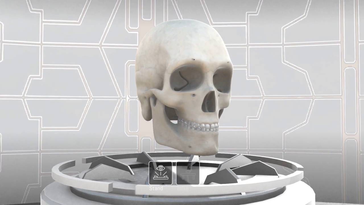 Human Body Anatomy for After Effects (Element 3D) - YouTube