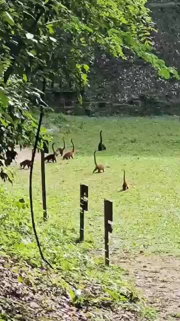 amazing video - YouTube