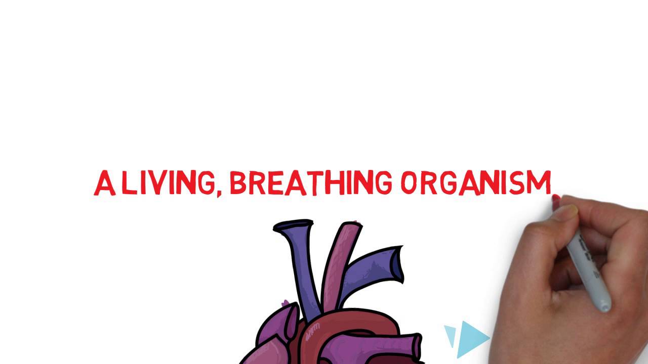 Alan Kern Test - YouTube