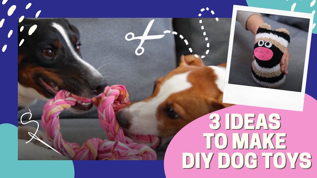 3 Easy and Cheap DIY Dog Toys || Made From Socks & Old Clothes - YouTube