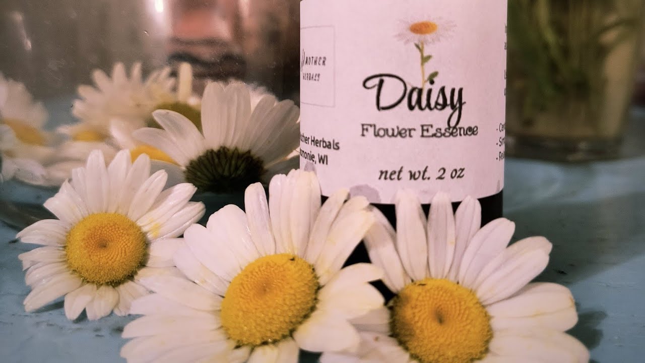 Flower Essence Alchemy - YouTube Flower Essence Alchemy - YouTube