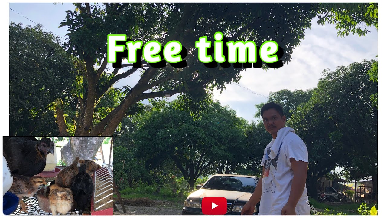 The goodness of nature | where we usually spend our free time | great ...