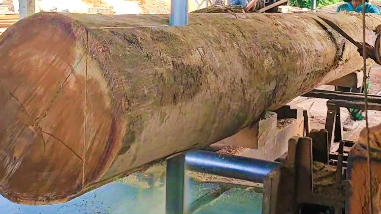 Meranti kuning,? proses penggergajian kayu Meranti - YouTube