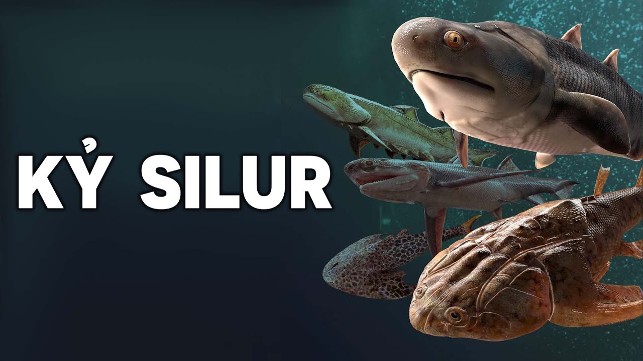 KỶ SILUR - Loài Cá xuất hiện khi nào ? | MÁY THỜI GIAN - YouTube