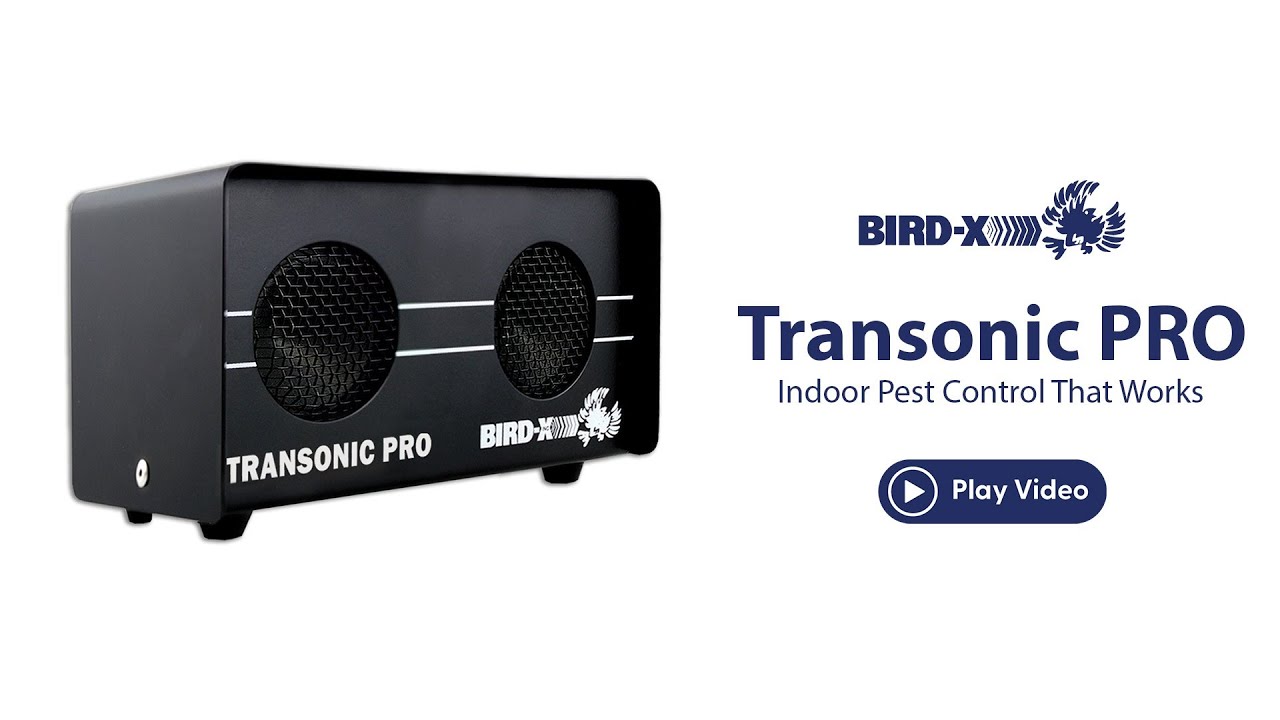Transonic Pro: Safe & Effective Indoor Pest Repeller - YouTube