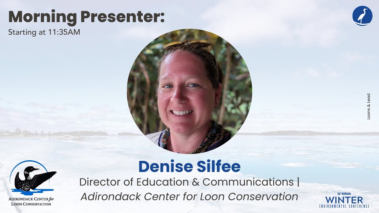Denise Silfee | Loons & Lead - YouTube