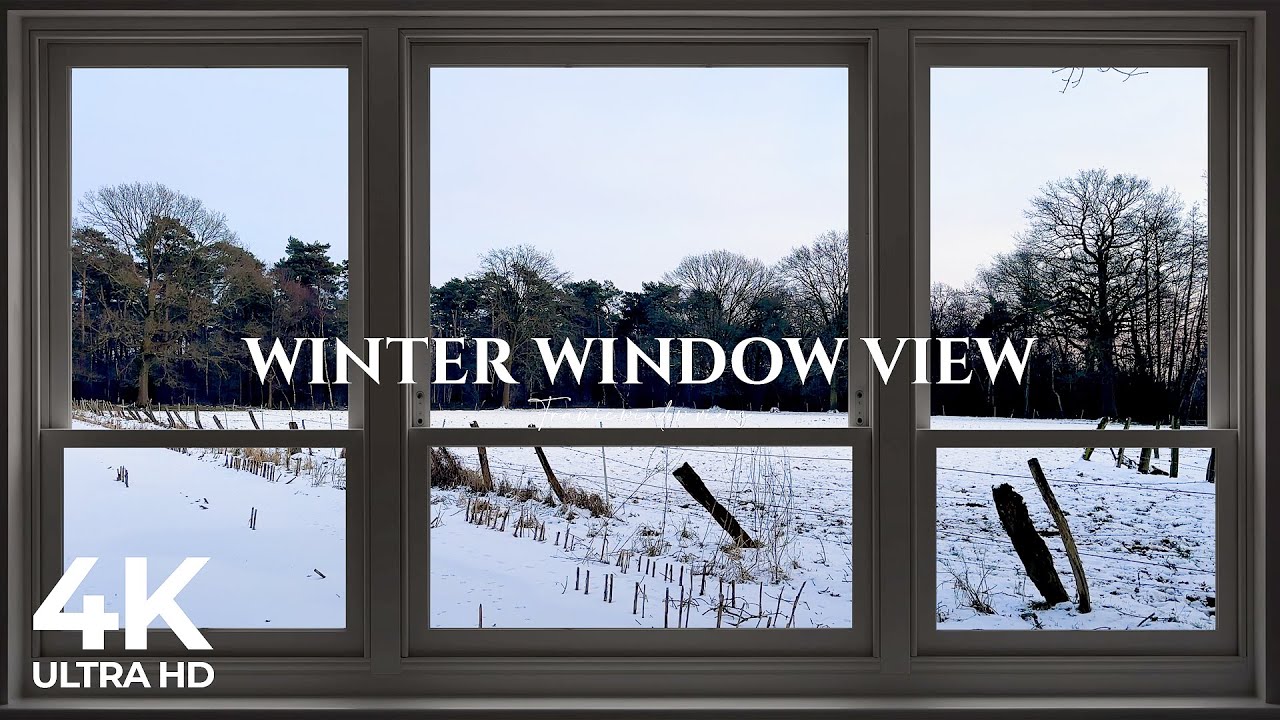 4K Winter field and forest window view - Relaxing, Calming, Ambience ...